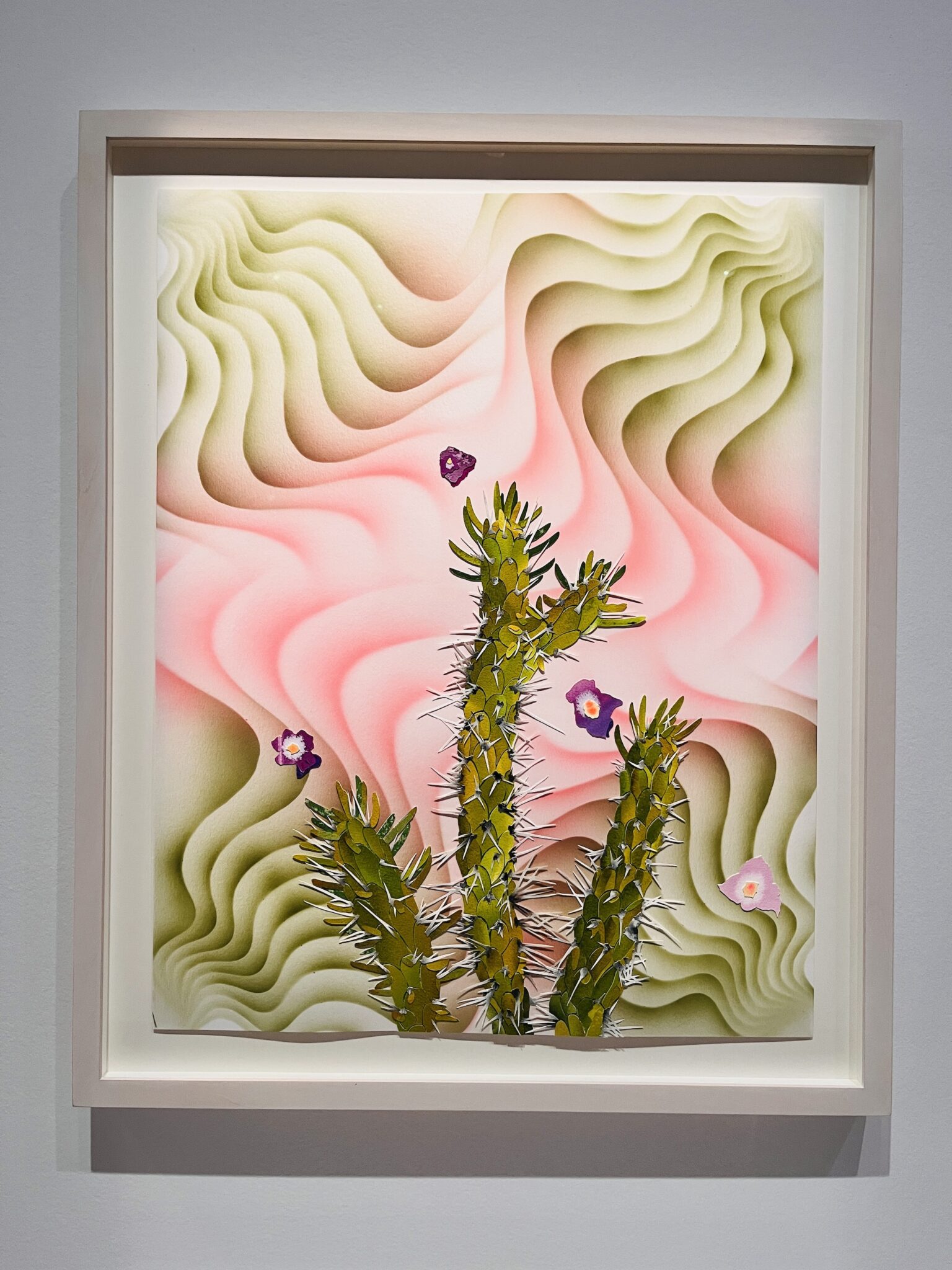 IL NMNM PRESENTA UNA MOSTRA UNICA: CACTUS