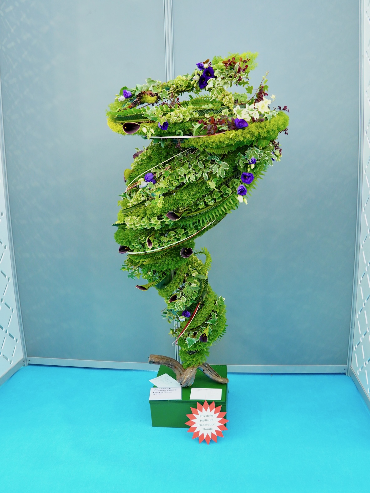 Concorso di bouquet Monte-Carlo_WSM3 | MonteCarloin